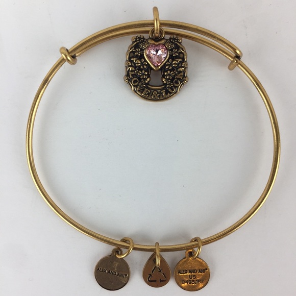 Alex and Ani | Jewelry | Alex And Ani Bangle Bracelet Rafaelian Gold Finish | Poshmark